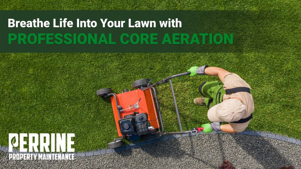 Breathe Life Into Your Lawn with Core Aerations | Perrine Property ...